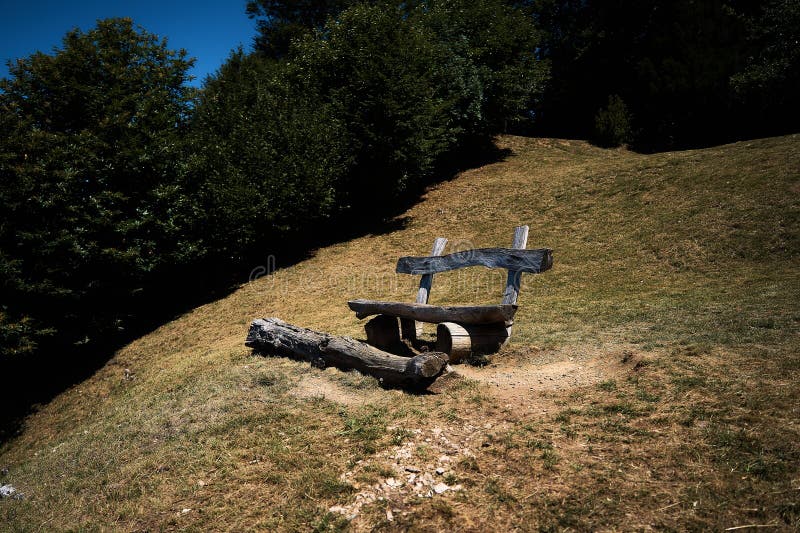 A Wooden Bench and a Dry Fallen Tree on a Hillside, a Relaxing Location ...