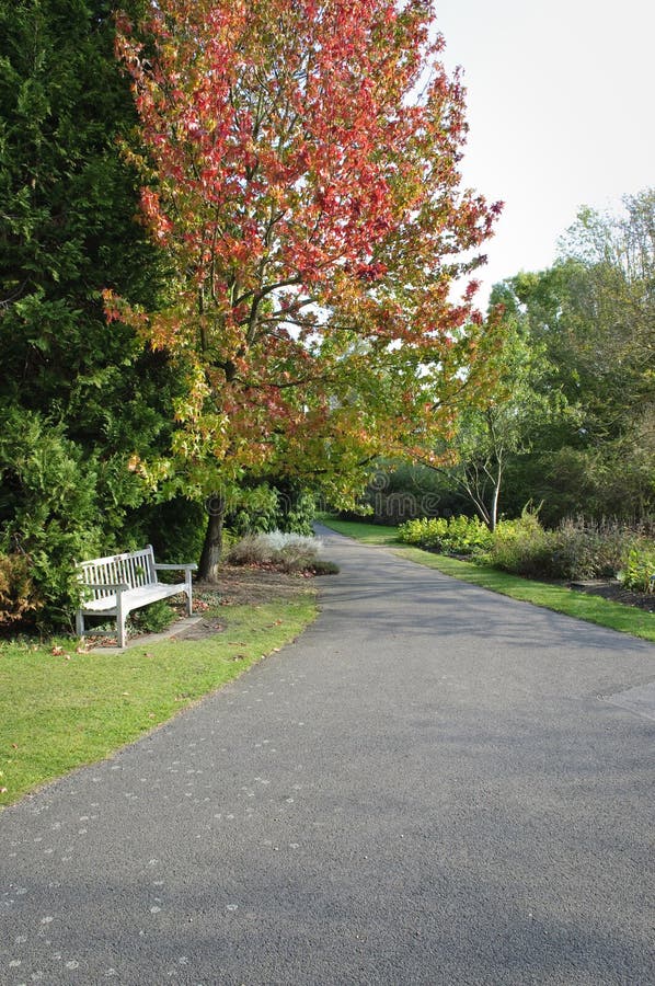 Wooden Bench in Empty Garden Path Stock Image - Image of english, trees ...