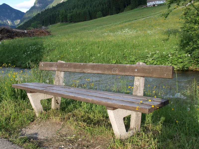 Wooden bench in forest stock photo. Image of forest, bank - 10914636