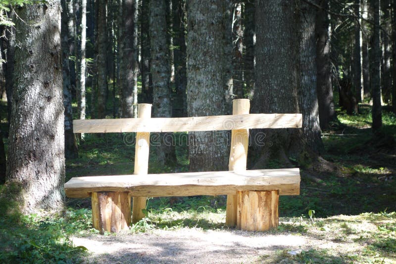 Bench in a forest stock photo. Image of panoramic, table - 102296558