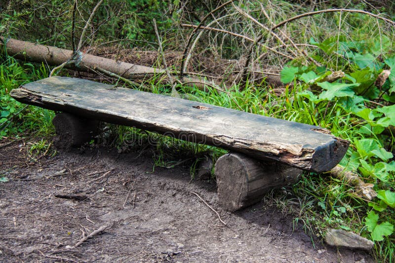 Wooden bench in a forest stock photo. Image of hike, outdoors - 62217528