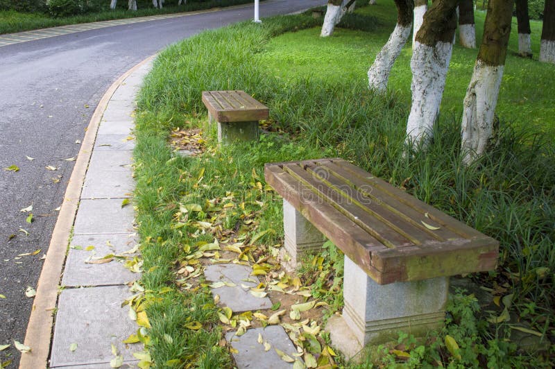 Wooden bench in park stock photo. Image of tree, botany - 113312358