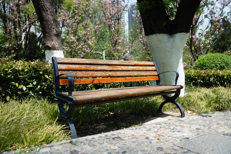 Wooden bench in park stock image. Image of weekend, rest - 273988039