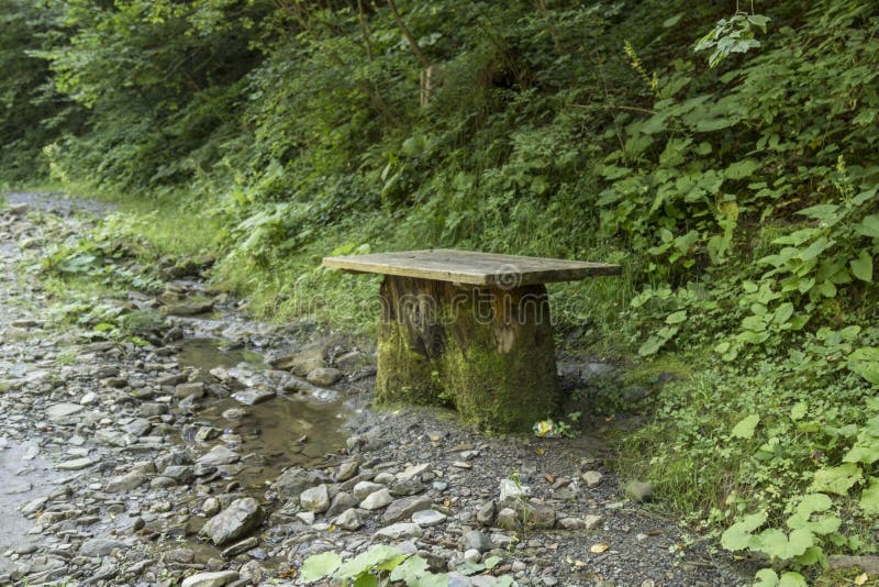 Wooden Bench in the Forest. a Small Stream Near Stock Photo - Image of ...