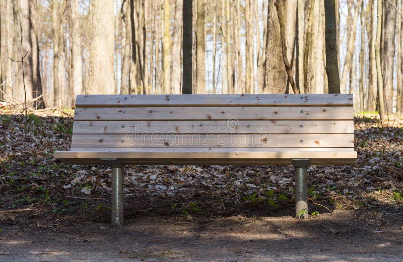 Wooden bench in the forest stock photo. Image of branches - 91581290