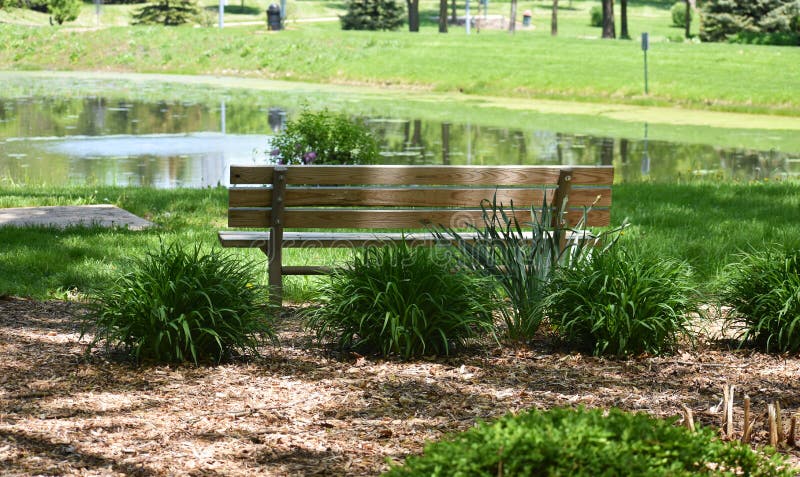 Wooden Bench in Garden stock image. Image of view, side - 118027591