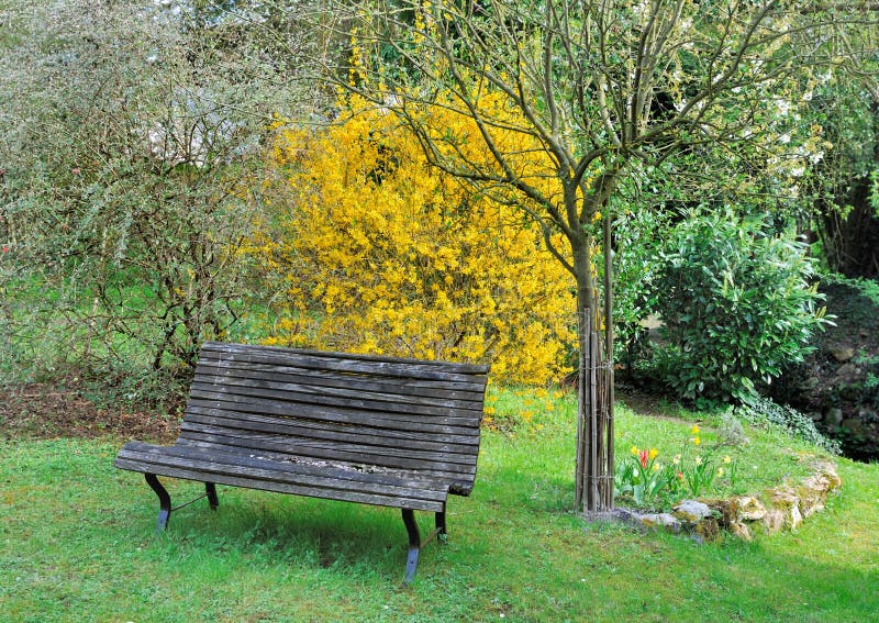 Wooden bench in garden stock image. Image of garden, relaxation - 53222269