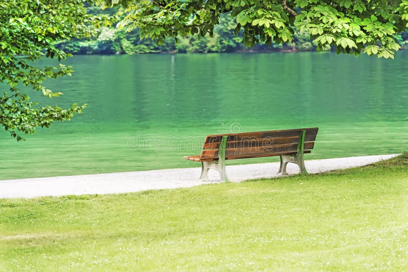 Wooden Bench on a Green Lake Side Stock Photo - Image of lake, park ...