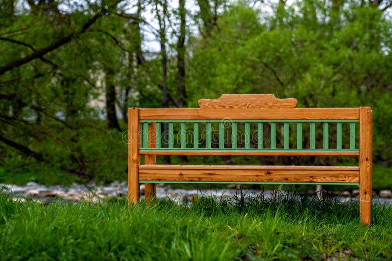 Wooden Bench in a Green Park by the River, Back View Stock Image ...