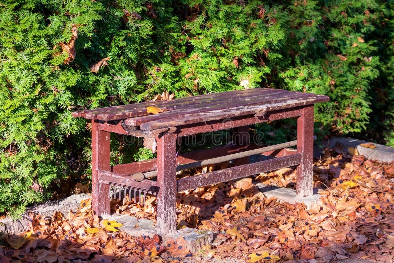 Wooden Bench on the Ground with a Green Bush Stock Image - Image of ...
