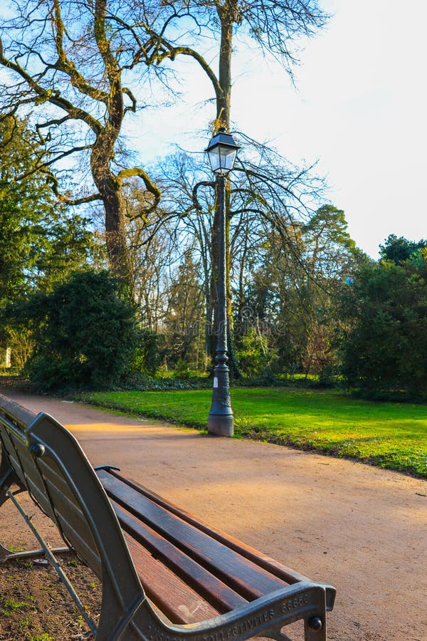 Wooden Bench by a Lamp Post in a Park Stock Photo - Image of peaceful ...