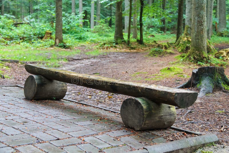 Bench Made Out of a Tree Trunk Stock Photo - Image of wooden, shape ...