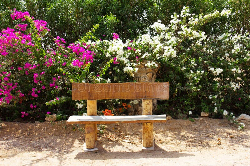 Wooden bench in nature stock image. Image of bench, bush - 27069101
