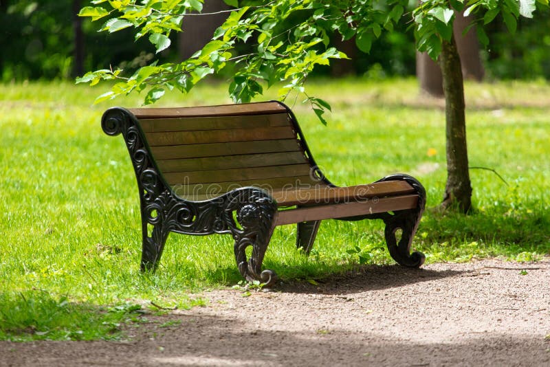 A Wooden Bench in the Nature Stock Image - Image of garden, grass ...
