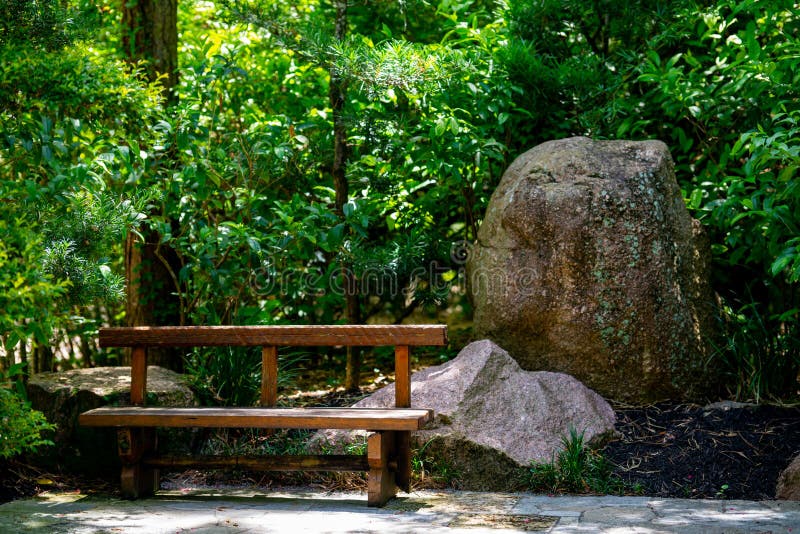 Wooden Bench in a Nature Trail Stock Image - Image of trail, bench ...