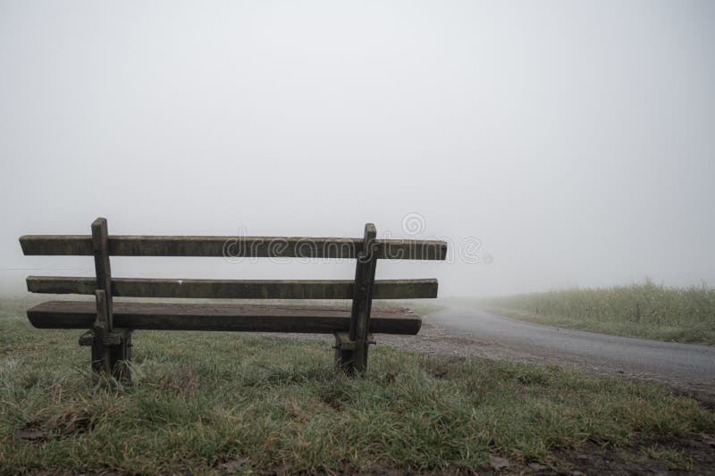 Wooden Bench Near the Road Covered with Fog - Solitude Concept Stock ... Wooden Bench Near the Road Covered with Fog - Solitude Concept Stock ...
