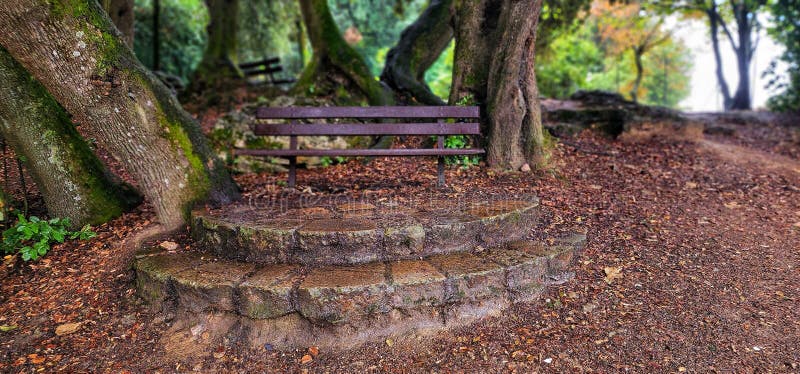 A Bench between Two Trees at the Base of a Path Stock Image - Image of ...