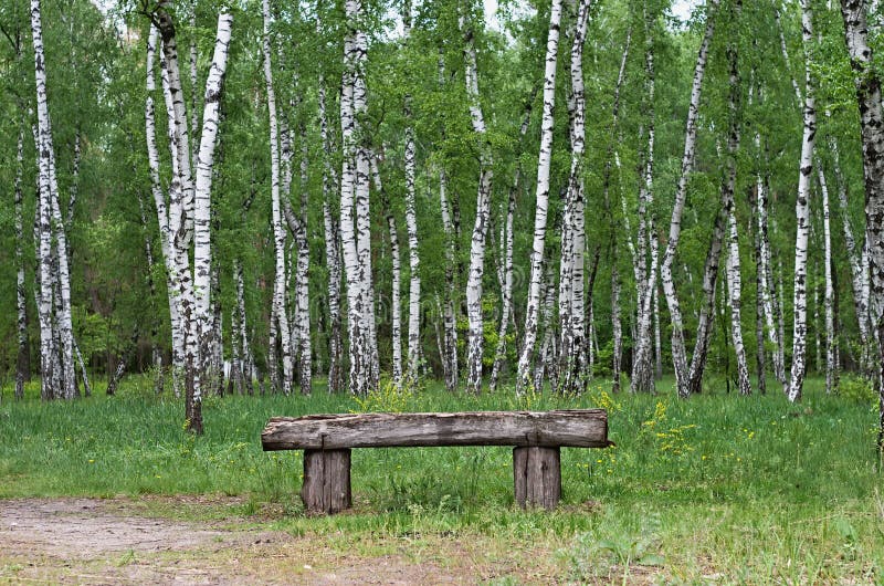 Wooden bench stock photo. Image of house, green, freedom - 54476508