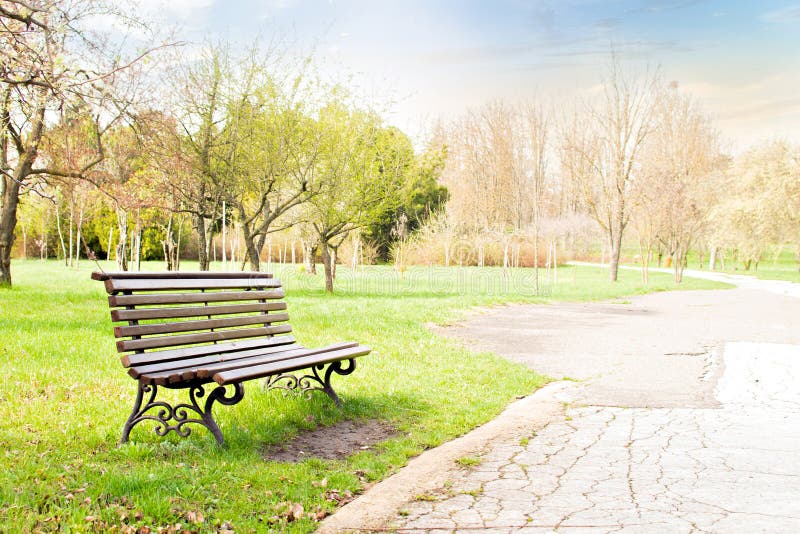Wooden Bench in the Park. Beautiful Spring Park with Green Grass Stock ...