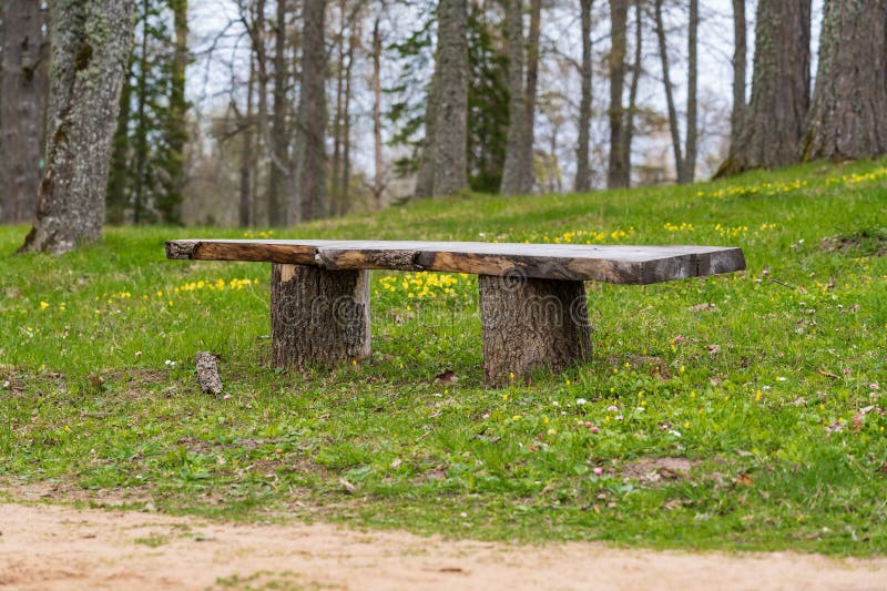 A Wooden Bench in the Park. Wooden Board for Sitting Stock Photo ...
