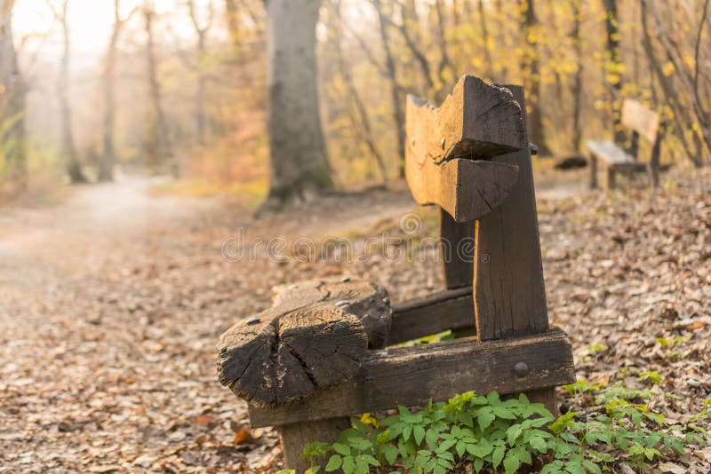 Wooden Bench in the Park in Spring Sunset Stock Image - Image of ...