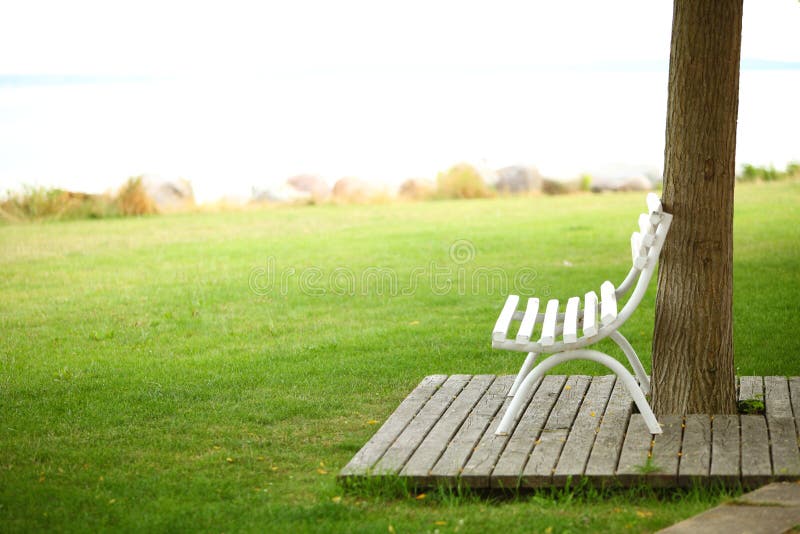Wooden bench at a park stock image. Image of park, grass - 44622459
