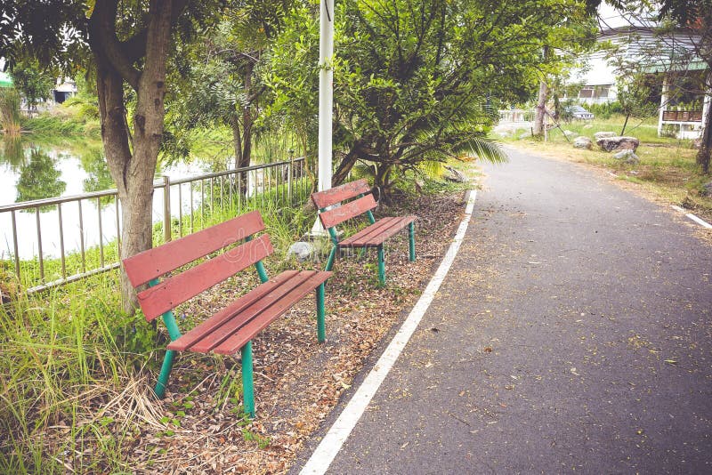 Wooden Bench and a Path in the Park Stock Photo - Image of moss, nature ...