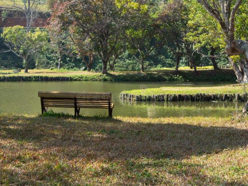 Wooden Bench beside Pond in Park Stock Photo - Image of nature, lake ...