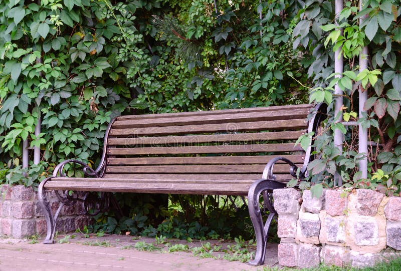 Wooden Bench for Rest a Warm Day in the Park Stock Image - Image of ...