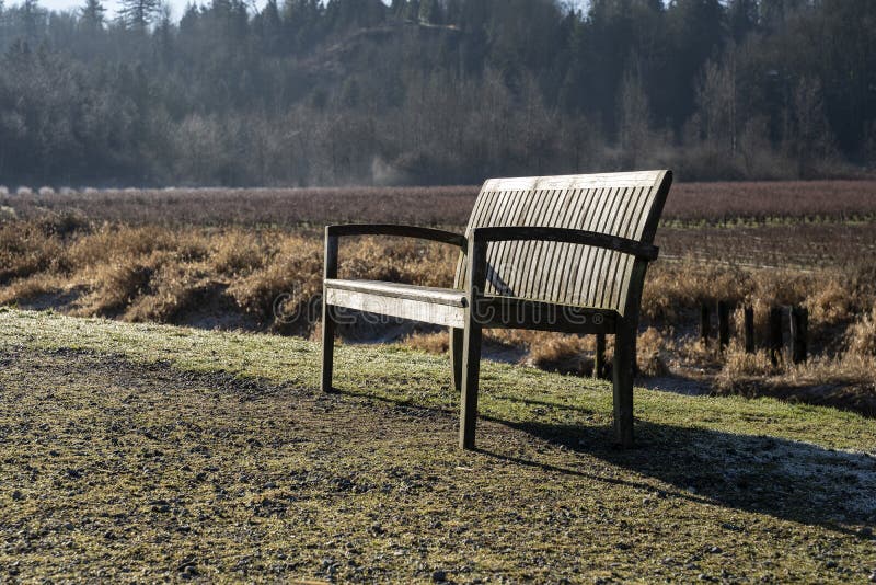 Wooden Bench in a Rural Farm Setting Stock Photo - Image of landscape ...