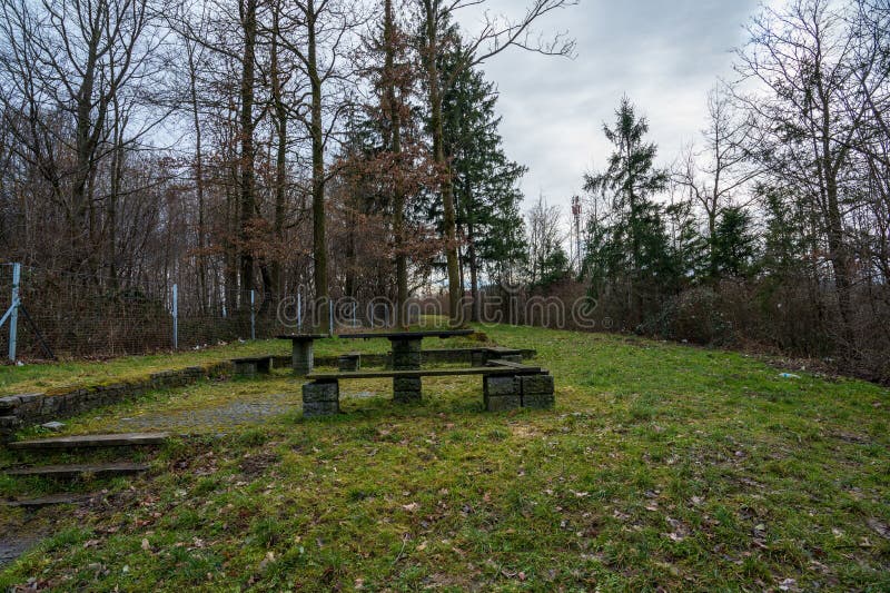 Wooden Bench and Table on the Clearing between the Trees Stock Image ...