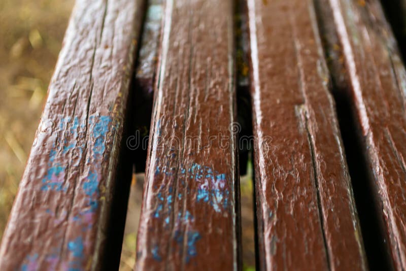 Wooden bench texture stock image. Image of surface, fence - 196688093