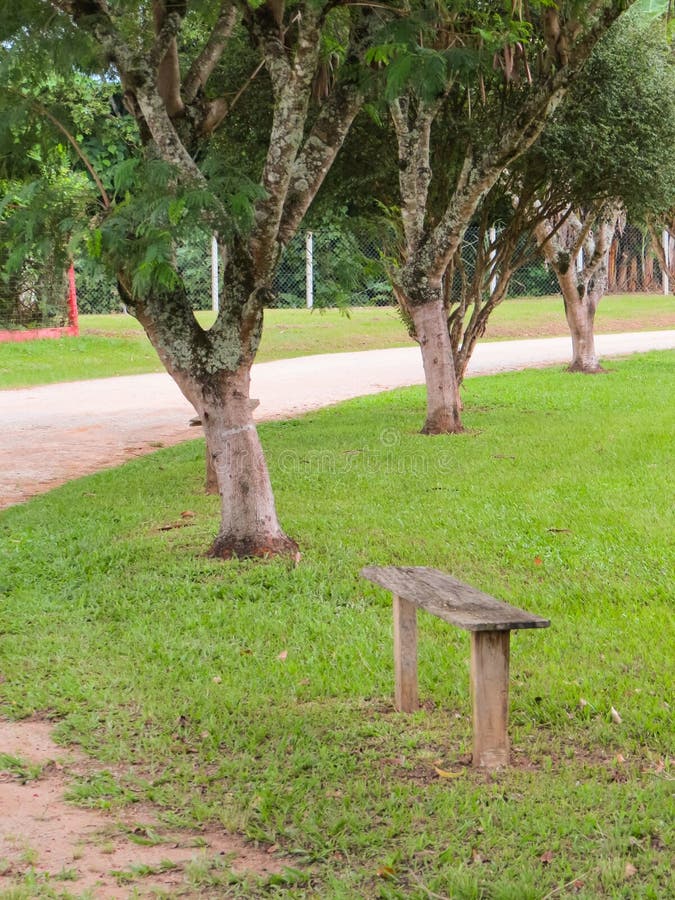 Wooden Bench beside the Road in Grassy Park. Stock Image - Image of ...