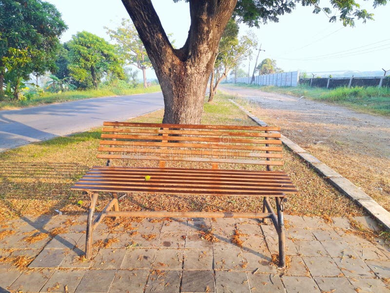 A Wooden Bench Under a Big Tree on the Side of the Highway Stock Image ...
