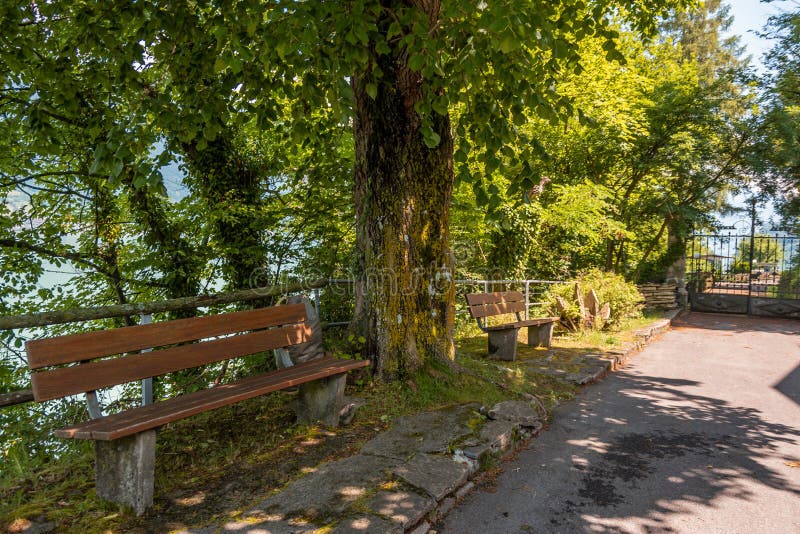 570 Bench Under Shade Tree Stock Photos - Free & Royalty-Free Stock ...