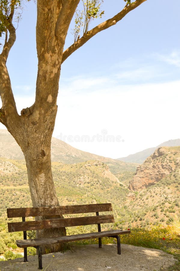 Wooden Bench Under a Tree with Stock Image - Image of desk, building ...