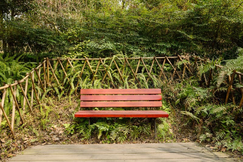 Wooden Bench in Verdant Plants of Sunny Spring Stock Photo - Image of ...