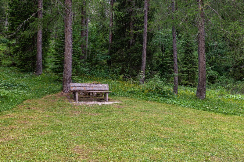 The Wooden bench stock image. Image of green, rest, nature - 259014669