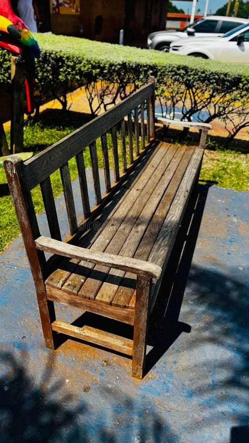 Wooden bench in a garden stock photo. Image of furniture - 353816420