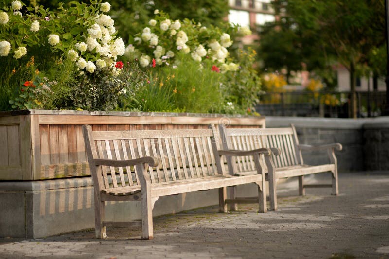 Wooden Benches in Beautiful Park, in Summer Stock Image - Image of ...