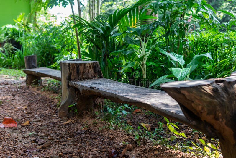 The Wooden Benches in the Forest Stock Image - Image of relaxation ...