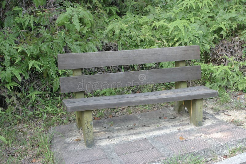 A Wooden Benches on Grass Floor in a Shady Area Stock Photo - Image of ...