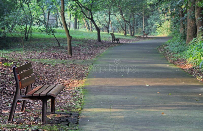 Wooden Benches in Park of Hangzhou Stock Photo - Image of city ...