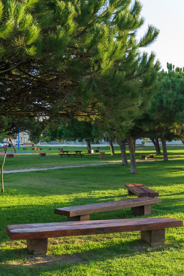 Wooden benches in the park stock photo. Image of urban - 256055244