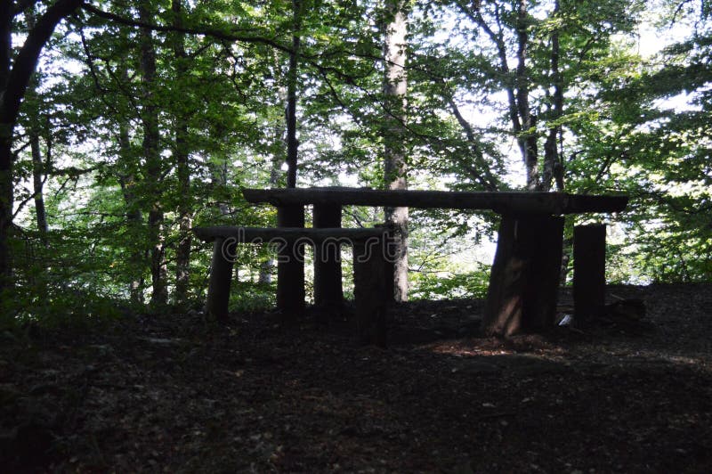 Wooden Benches and a Table in the Forest Stock Image - Image of branch ...