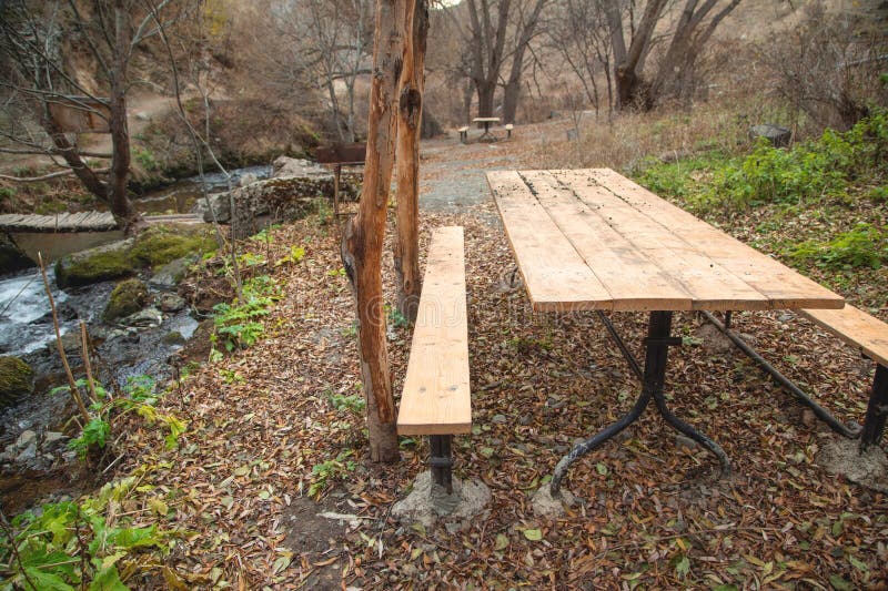 Wooden Benches and Table in Forest at Autumn Stock Illustration ...