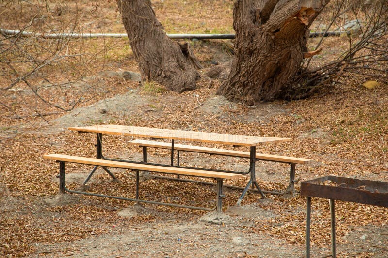 Wooden Benches and Table in Forest at Autumn Stock Illustration ...