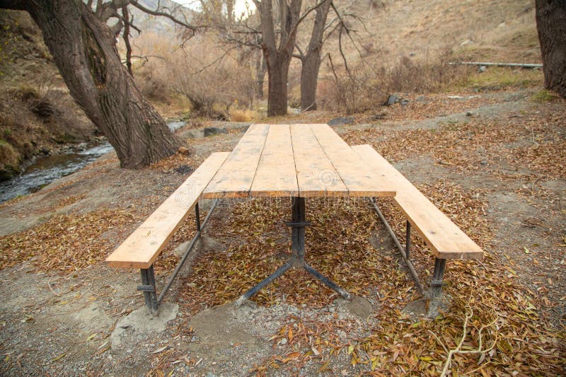 Wooden Benches and Table in Forest at Autumn Stock Illustration ...