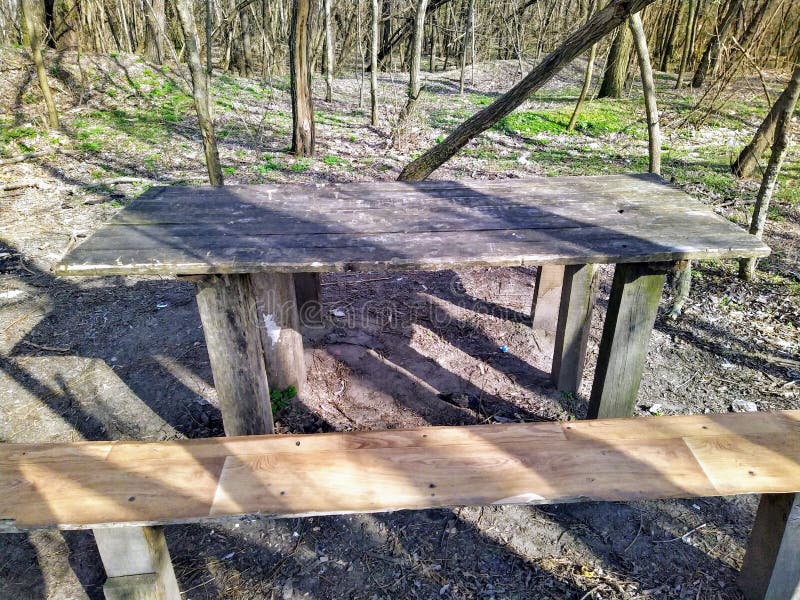 Wooden Benches and Table in Forest at Spring Stock Image - Image of ...