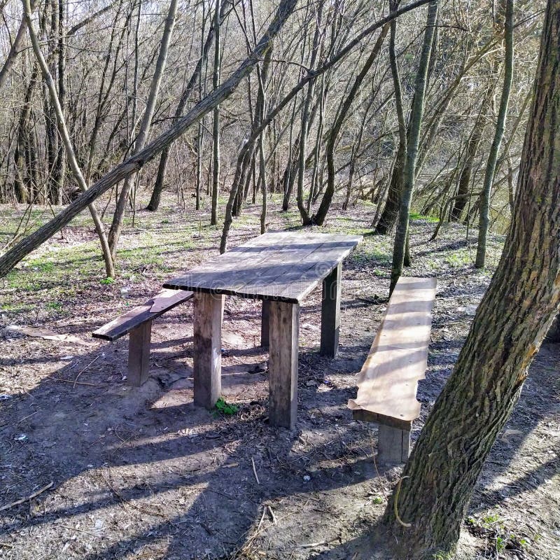 Wooden Benches and Table in Forest at Spring Stock Photo - Image of ...